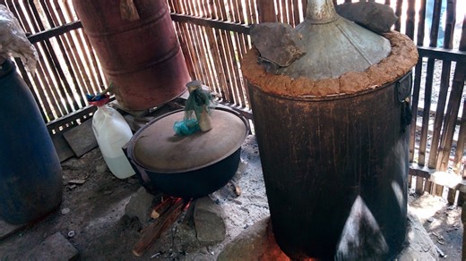 Deaths of backpackers poisoned by methanol-tainted alcohol in Laos highlights 'forgotten crisis'