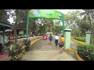 Bobsled Jamaica & Dunn's River Falls | WestJet Vacations