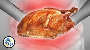 It's that time of year where we over indulge! But what happens in your stomach when you eat too much Thanksgiving dinner? | Reactions