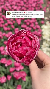 4.3K views · 53 reactions | Yes, fall is the perfect time to plant...