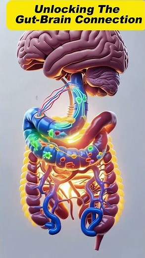 Unlocking the Gut-Brain Connection: How Your Gut Affects Your Brain!