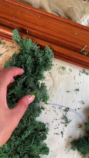 Creating Moss Art: Step-by-Step Guide