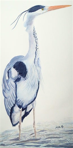 Original Framed Watercolor - Large Format: Portrait of a Heron With Its Feet in the Water - Etsy