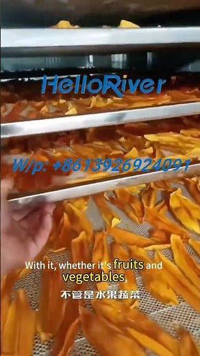 Industrial Fruit Drying Machine/ Dehydrator Vegetables and Fruit Drying Equipment mango Dryer