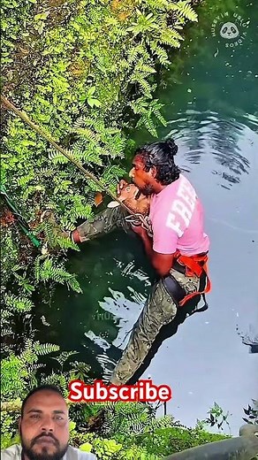 Animals Rescued by Humans Part🥺