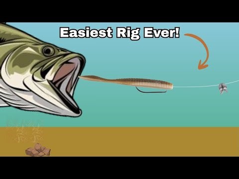 How to Fish the Split Shot Rig 101