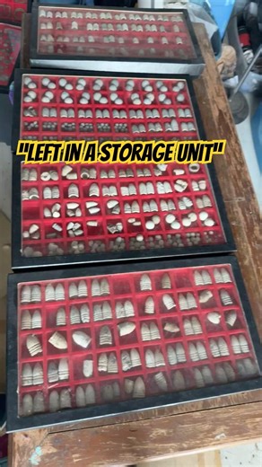 20 Years of Metal Detecting Relics | Civil War to Colonial