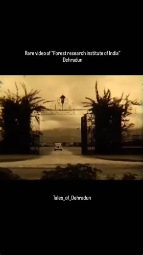 Dehradun had the potential to become the “Oxford of India,” if only our leaders and bureaucrats had truly cared for the state and worked sincerely towards its development. | Talesofdehradun