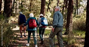 Back, senior or friends on trail hiking outdoor adventure or journey for travel in nature or forest. Group, exercise and elderly people in woods for holiday retirement, walking or trekking to explore