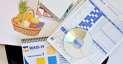 Test d'intelligence WAIS-IV (échelle de Wechsler chez l'adulte)