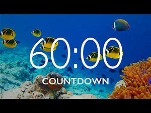 60 Minute Timer with Relaxing Music and Alarm 🎵⏰