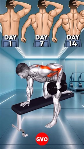 Back Dumbbell Workout At Home (Get Wide Back With These 06 Exercises) #backworkout #wideback #dumbbellworkout #dumbbell #health #workout #homeworkout #gym #fitness #exercises | Banksy