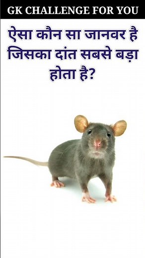 GK questions 💯🔥।। GK questions and answers 😱।। #sarkarinaukarigk #ncsgk #education 👍।। GK in Hindi,