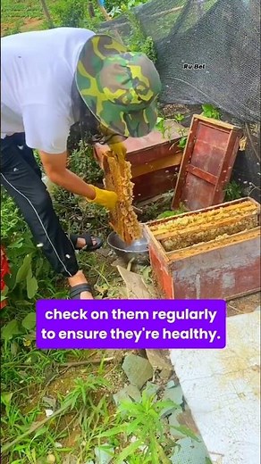 🐝 Beekeeping for Beginners: Essential Tips and Tricks to Start Your Hive 🍯#trending #shorts #bee