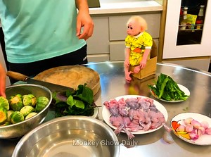 4.9K views · 260 reactions | Wow....Look very tasty meal, Chef BiBi monkey cook unique dishes from frog meat with delicious specie | Monkey Show Daily | Facebook