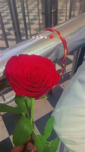 Trip with friend | Himanshu Pal | #babashyamdarshan #trendingshorts #trendingvideo #travel #trending