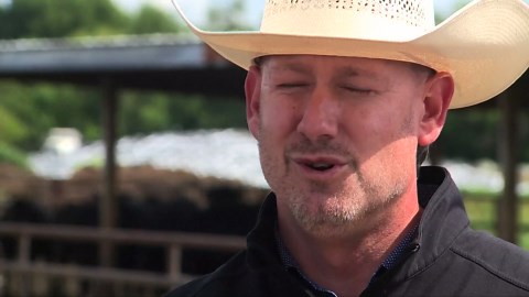 Demand, prices for beef soar as US faces cattle shortage