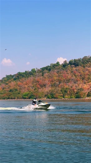 วิดีโอของ ธีรวัฒน์ ชาญกัน (@teerawatbellchangan) พร้อมเพลง เสียงต้นฉบับ - ลูกกบ 🐸 โสดสนิท😘