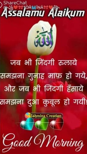 tere# raste# pe♥️♥️💞🌷🌺🌺🌿🌿❤️🌹💐🌹❤️🌿🌷🌷💞