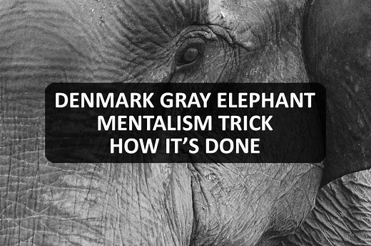 Denmark Gray Elephant Mentalism Trick - How It’s Done - Magic Mentalism