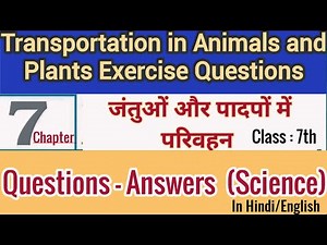 Class 7 Science Chapter 7 Transportation in Animals and Plants | Exercise Questions