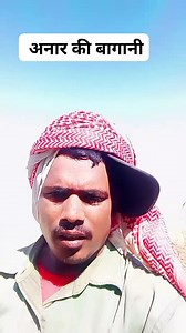 अनार की बगानी है #fbreels #reesl #rameshramesh #videos #ViralVideo | Ramesh Ramesh