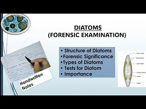 Diatoms in Forensic Science|| Applications and structure of Diatoms