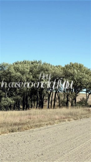 Never give up on yourself, when doubts of your capabilities hit lean on Christ or just stand in front of a mirror and say to yourself : “I am more capable than I give myself credit for; I am valuable and more than enough” #youareloved #christianteensoftiktok #yourenough #fyp #motivation