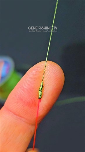 48K views · 352 reactions | Powerful Smooth Knot for Braid to Leader 100% Knot Strength #fishing #fishingknot #tutorial #albrightknot #genefishingtv | Gene Fishing TV | Facebook