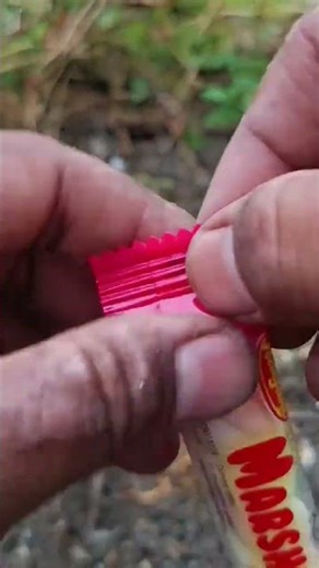 Feeding a Caterpillar a Marshmallow 🍬 | Oddly Satisfying Insect Video #Shorts