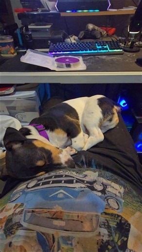 Sleepy Time For Charlie!!