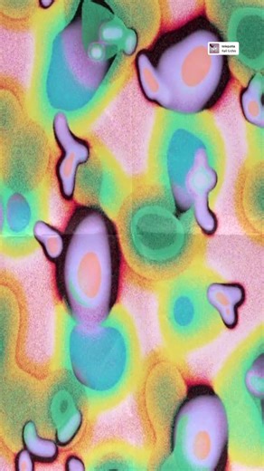 A model 💓 #DontQuitYourDaydream #model #modeling #lasvegas #foryou #UltaSkinTok #GossipGirlHere #FriendsReunion #foryoupage PARIS_THEMODEL ON IG✨