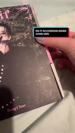 Bang Chan's Unique Accordion Cover of 'Do It'