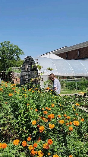 Central High School new juniors in the International Baccalaureate Diploma Program and Career-Related Program took a day to learn about their options. On Friday, Sept. 8, more than 100 students participated in the annual IB Junior Retreat. The event introduces students to Diploma and Career-Related program options, requirements and expectations. Plus, the day-long Retreat helps students develop connections among their peers and staff as an IB cohort. #spslearning | Springfield Public Schools, Sp