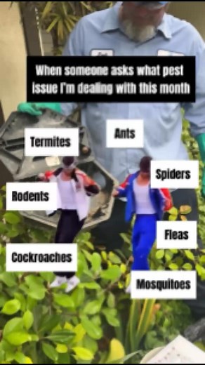 Every month’s a new pest party — and guess who’s invited this time? From ants to termites, our team’s seen (and solved) it all before it gets worse.  Call 714-744-1411 for your free inspection. Your peace of mind is just one call away. #OrangeCountyPestControl #SouthOCPestControl #EnviroCareOC #TermiteControlOC #FreeInspection #HomeMaintenanceOC | Enviro-Care Pest & Termite Control. Inc. | Facebook