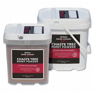 Chaste Tree Berry Powder