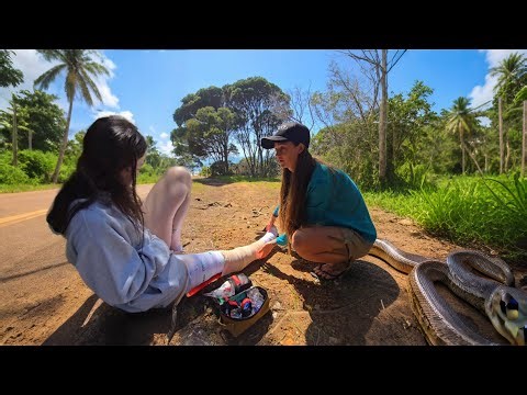 "Survival Skills: First Aid Tips for Snake Bites! 🐍💉 Can you save a life with laughter? 🤔😆