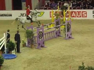 Springreiten-Pferd stürzt.