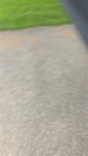 juat maybe the best impact socket set for the money on tiktok shop. t... | Derek tEspinoza