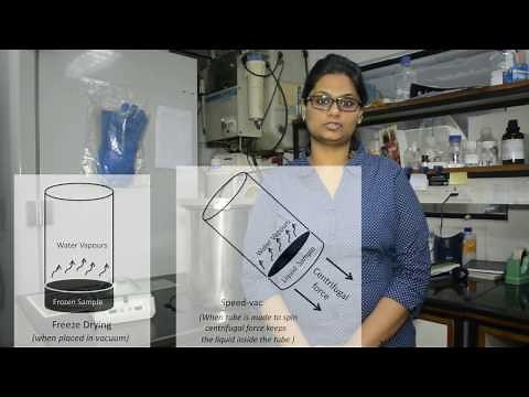 How to use a freeze dryer (lyophilizer) as a speed-vac