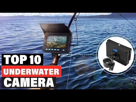 Best Underwater Camera for Murky Water 2024 [Top 10 Picks Reviewed]