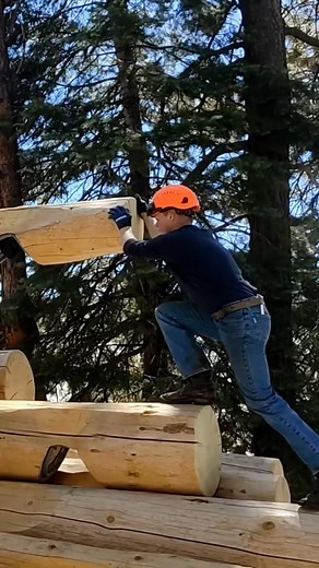 Setting a log cabin in the mountains. ##handcrafted #logcabin #customhome #logcabinliving #woodwork #skills | R Log Haus