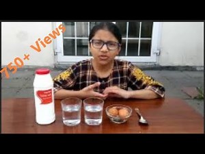 Easy Science experiment for grade 4 density experiment Lock down fun experiment
