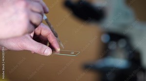 regenerative organic female farmer, taking soil samples and looking at plant growth in a farm. practicing sustainable agriculture