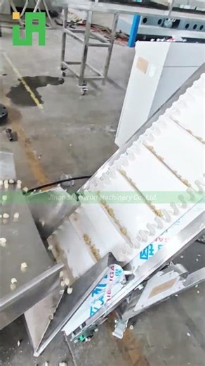 Master the Shell: Precision Production of Authentic Conchiglie Pasta