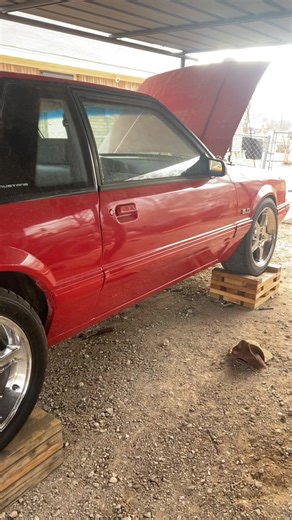 Installed some BBK long tube headers on the ol foxbody today !! Man it sounds good !! Have to get the x pipe and muffler installed now !🔥🫡@Late Model Restoration #foxbody #sbf #longtubeheaders #exhaust #carsoftiktok
