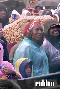 Mortimer Expressing Gratitude 💚💛❤️ (Original post: Riddim Mag) #Mortimer #Gratitude #ReggaeInSeattle | Reggae in Seattle