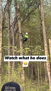 30K views · 44 reactions | The man in the tree #reels #viral #construction #trees #men | Leon and Chelsea's Reels | Facebook