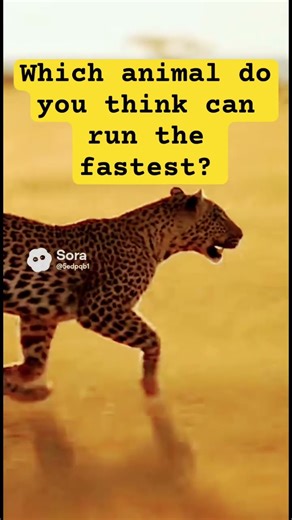 The Fastest Leopard Ever Caught on Camera! 🐆💨”