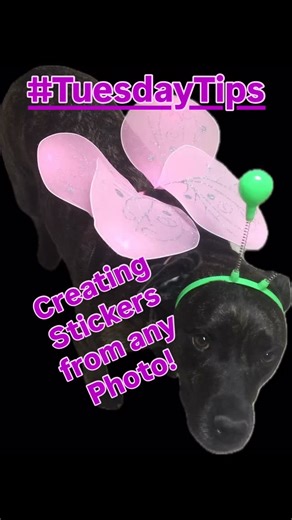 Triangle Social Media - Social Media Management & Marketing on Instagram: "✨Tuesday Tip: Turn Your Photos Into Stickers!✨ Did you know you can turn any photo from your camera roll into a custom sticker and use it right in your texts? 😍📱 From reactions ➡️ to inside jokes ➡️ to personal branding moments — stickers make your messages way more you. You can use them in: • iMessage (texts) • WhatsApp • Facebook Messenger • Instagram DMs & Stories (as stickers) Limitations: • ❌ Not usable as native s